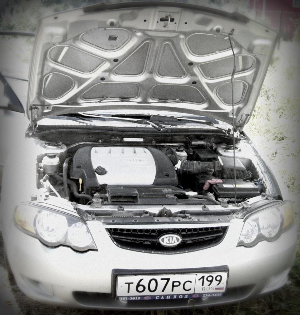 Фото Сет №1 — KIA Shuma II, 1,6 л, 2004 года | фотография | DRIVE2