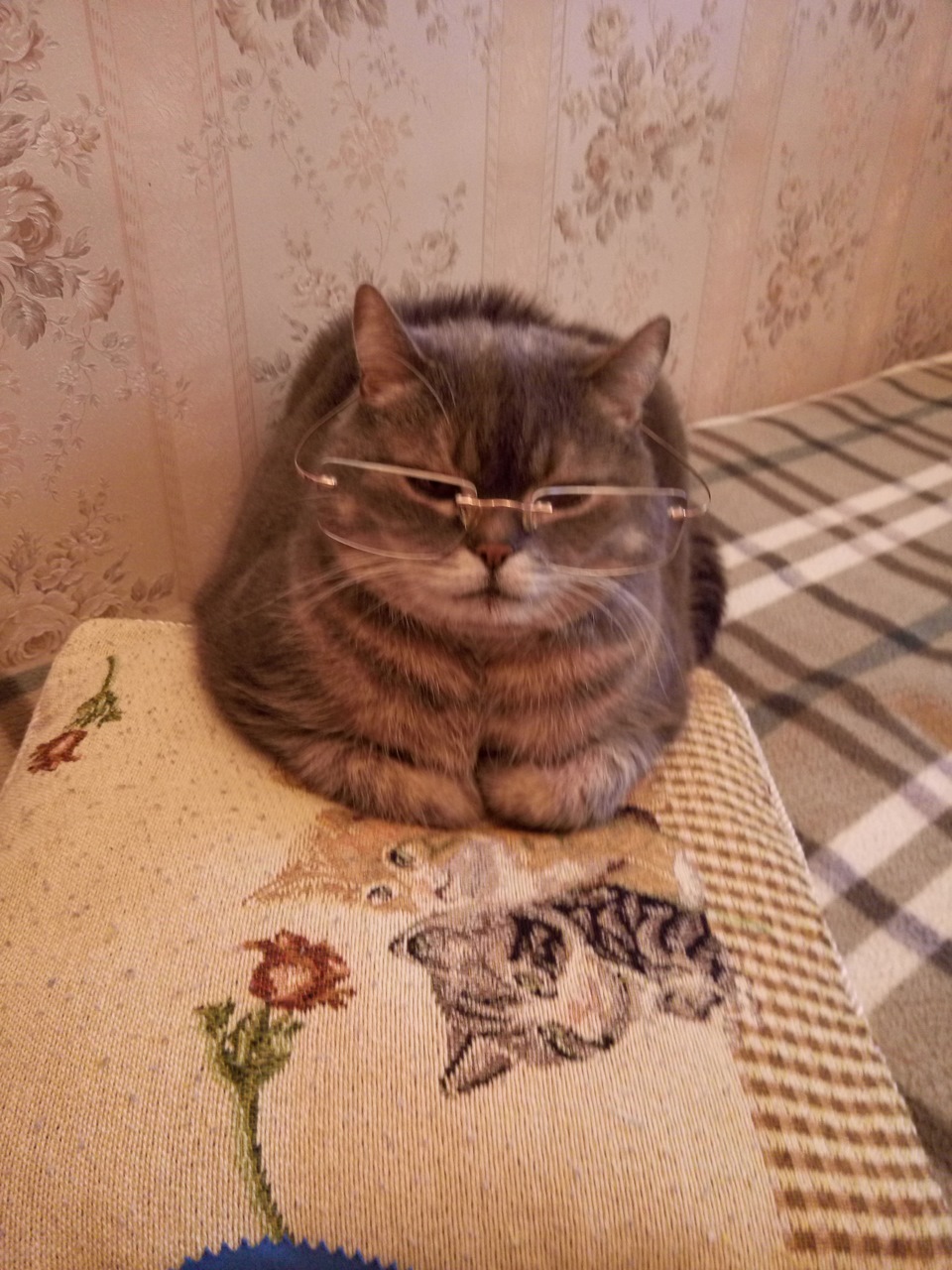 Кому нужна раздатка? — Land Rover Defender (L315/L316), 2,4 л, 2008 года | другое | DRIVE2