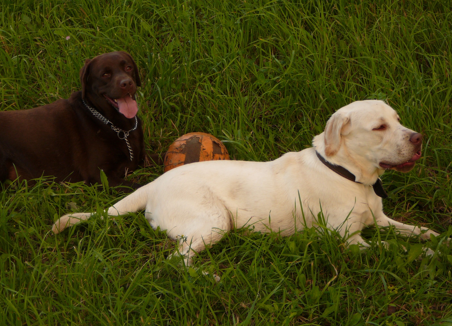 Мой красавчик — DRIVE2