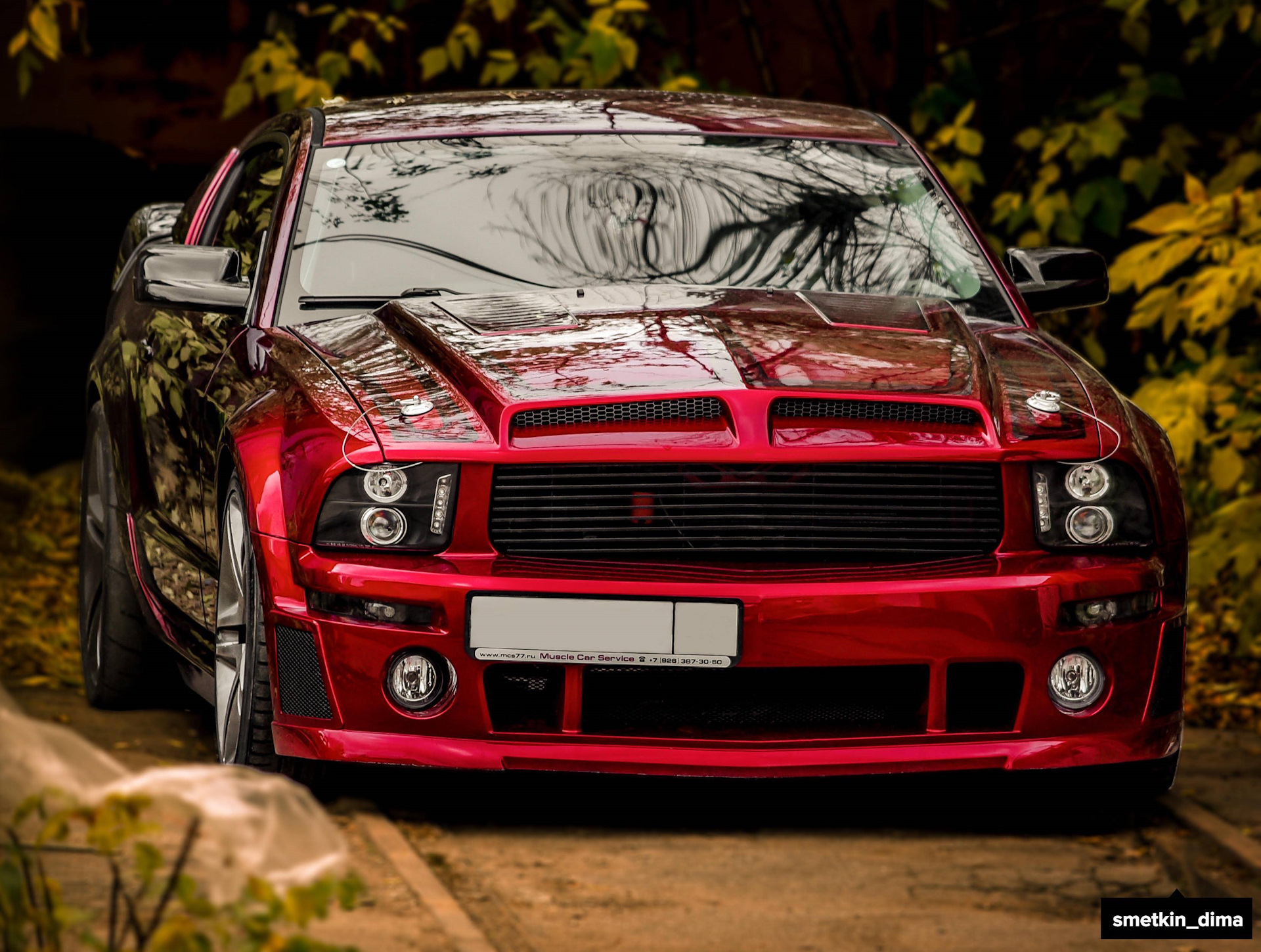 Приятный осенний сюрприз… — Ford Mustang (5G), 4,6 л, 2005 года ...