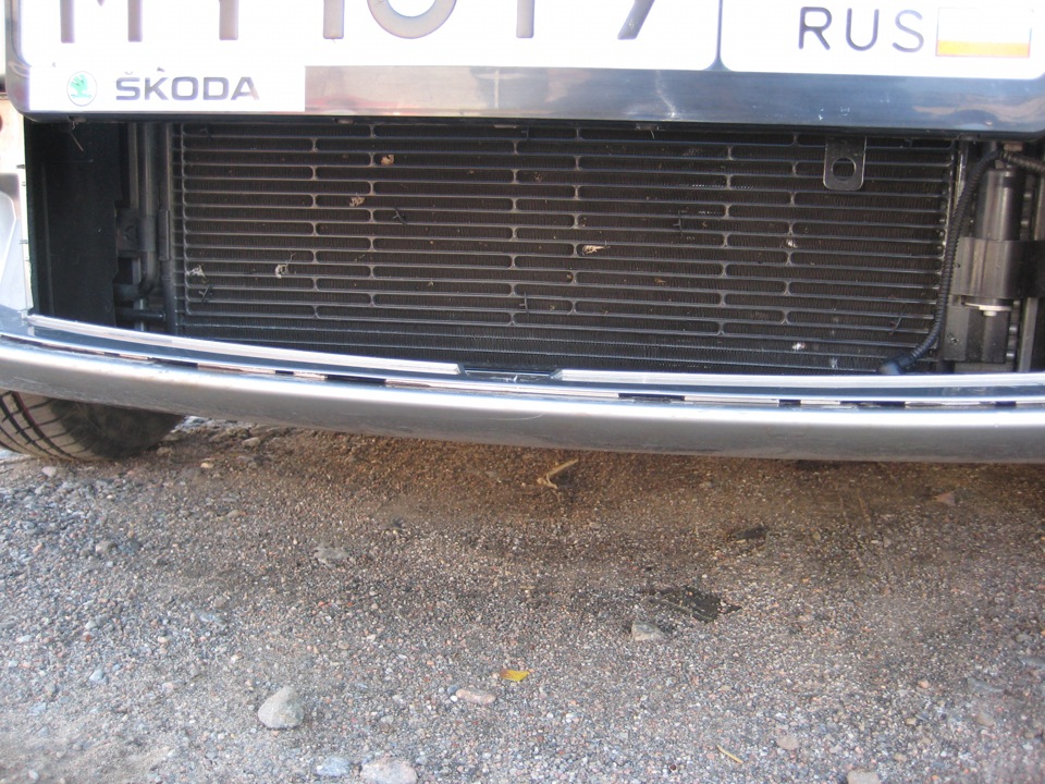 Защитная сетка в решётку радиатора — Skoda Octavia A5 Mk2, 1,6 л, 2012 ...