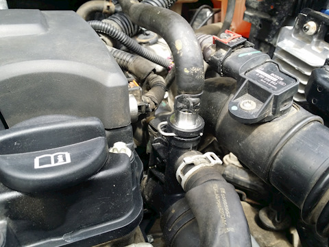 55565952 Шланг маслоохладителя GM | Запчасти на DRIVE2