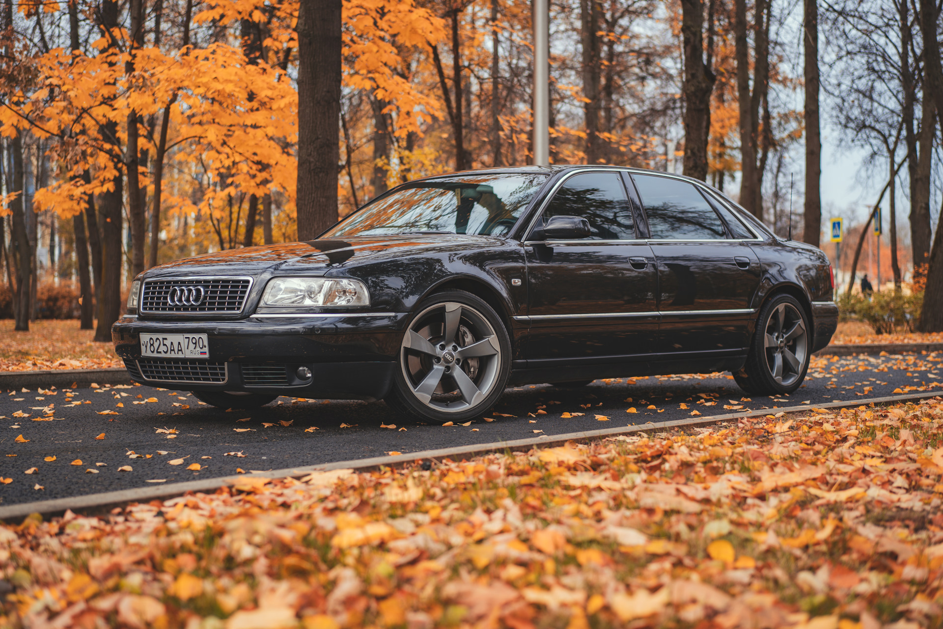 Осенний фотосет и видео. Лужники. Часть 3. Заключительная. — Audi A8 (D2), 4,2 л, 2001 года ...