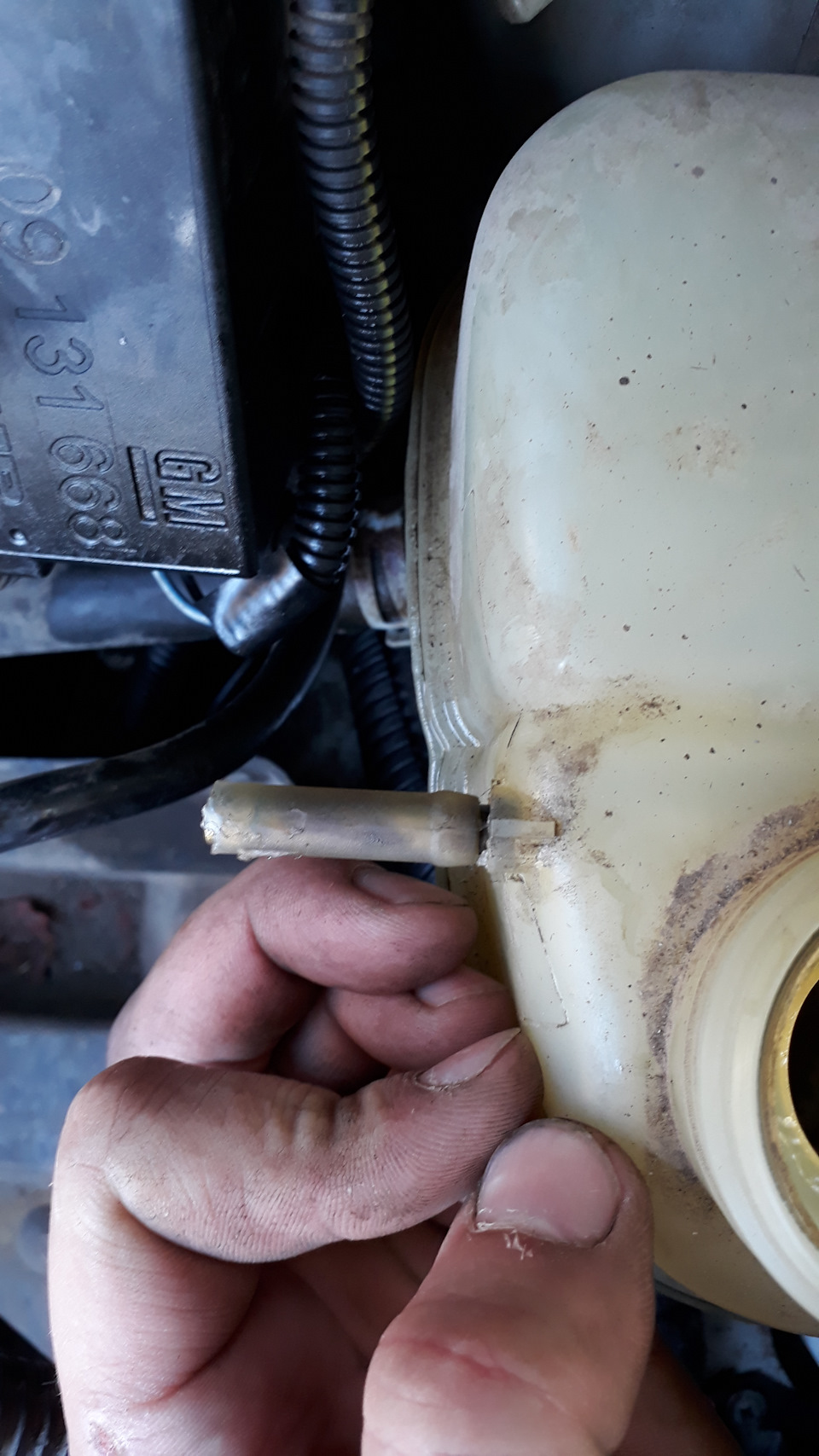 Master Tamer: отзывы, цены, фото