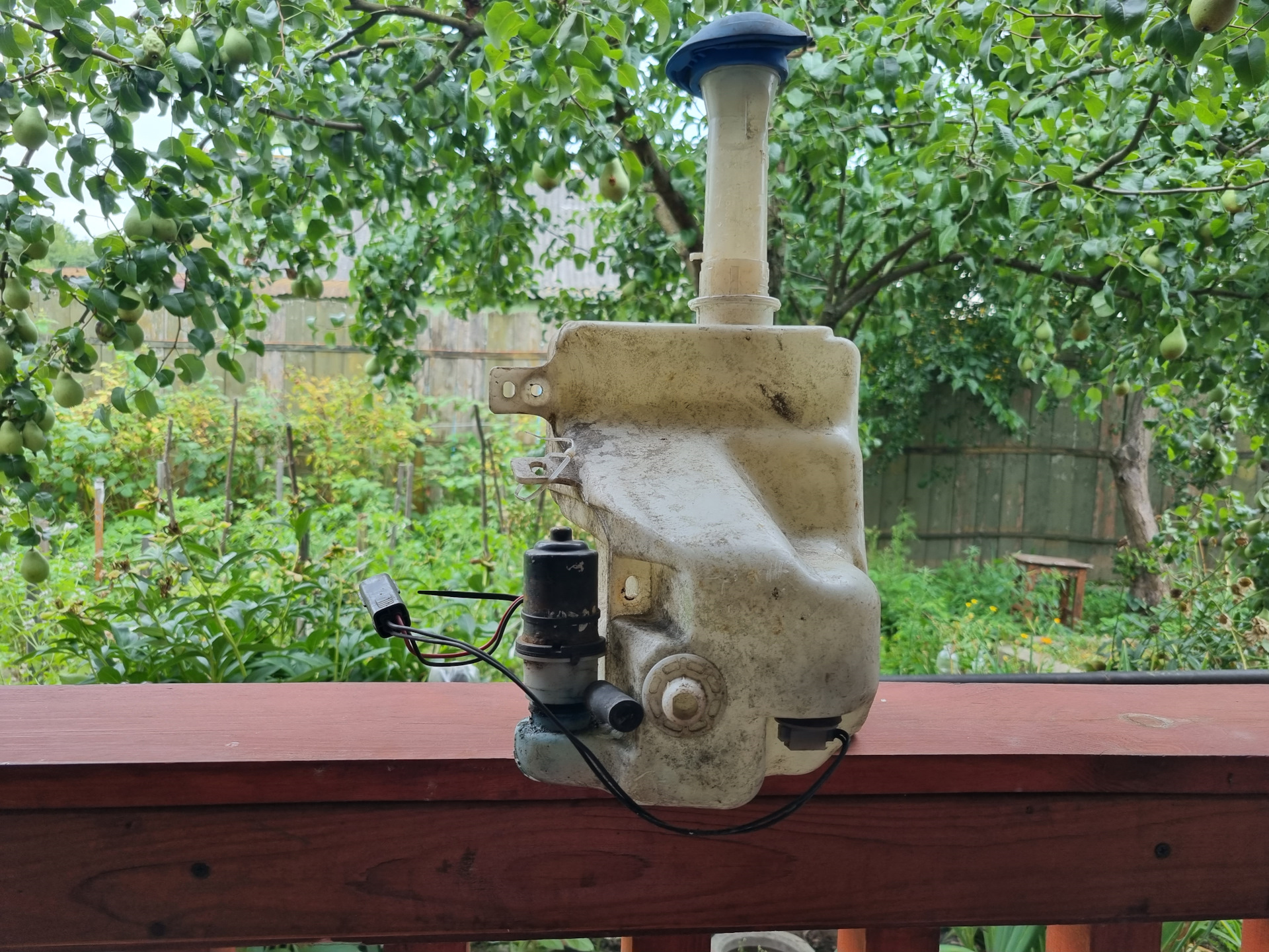 Остатки роскоши) — Mazda 323 VI, 1,6 л, 2001 года | тюнинг | DRIVE2