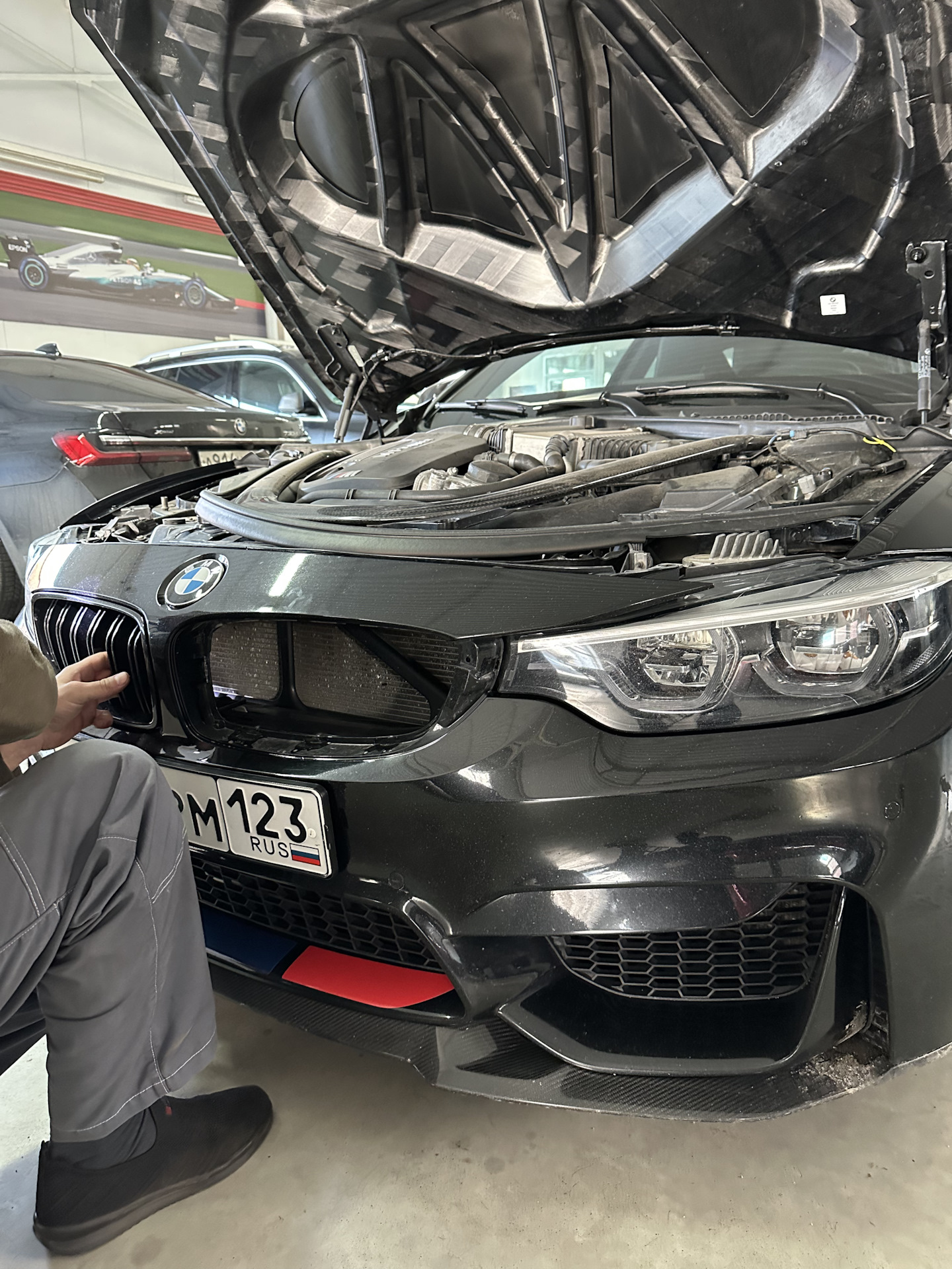 8. Ноздри Perfomance карбон установлены — BMW M4 Coupe (F82), 3 л, 2018 ...