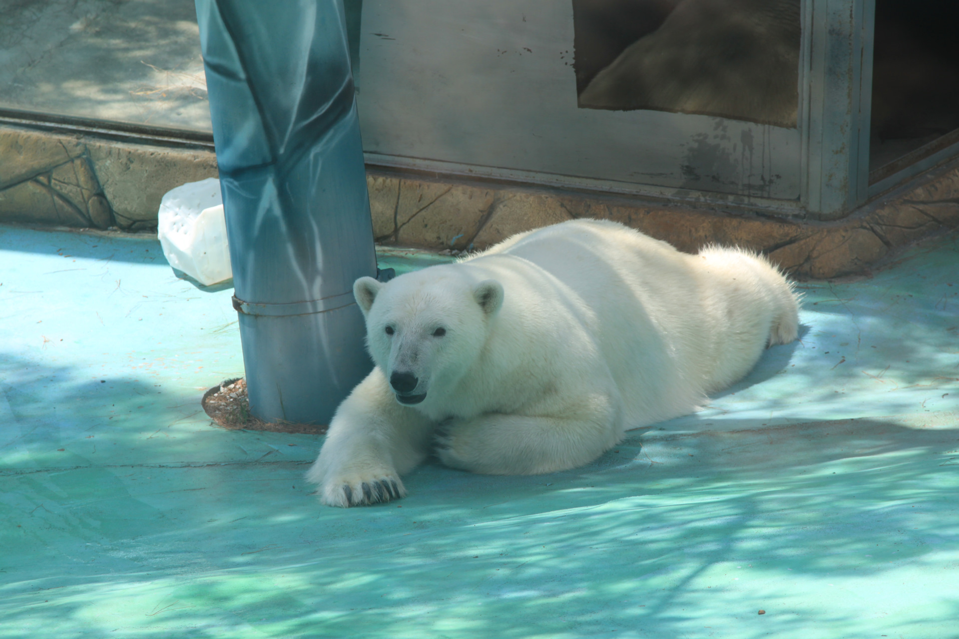 Замена накладки задней двери — Mitsubishi Pajero (4G), 3,8 л, 2007 года ...