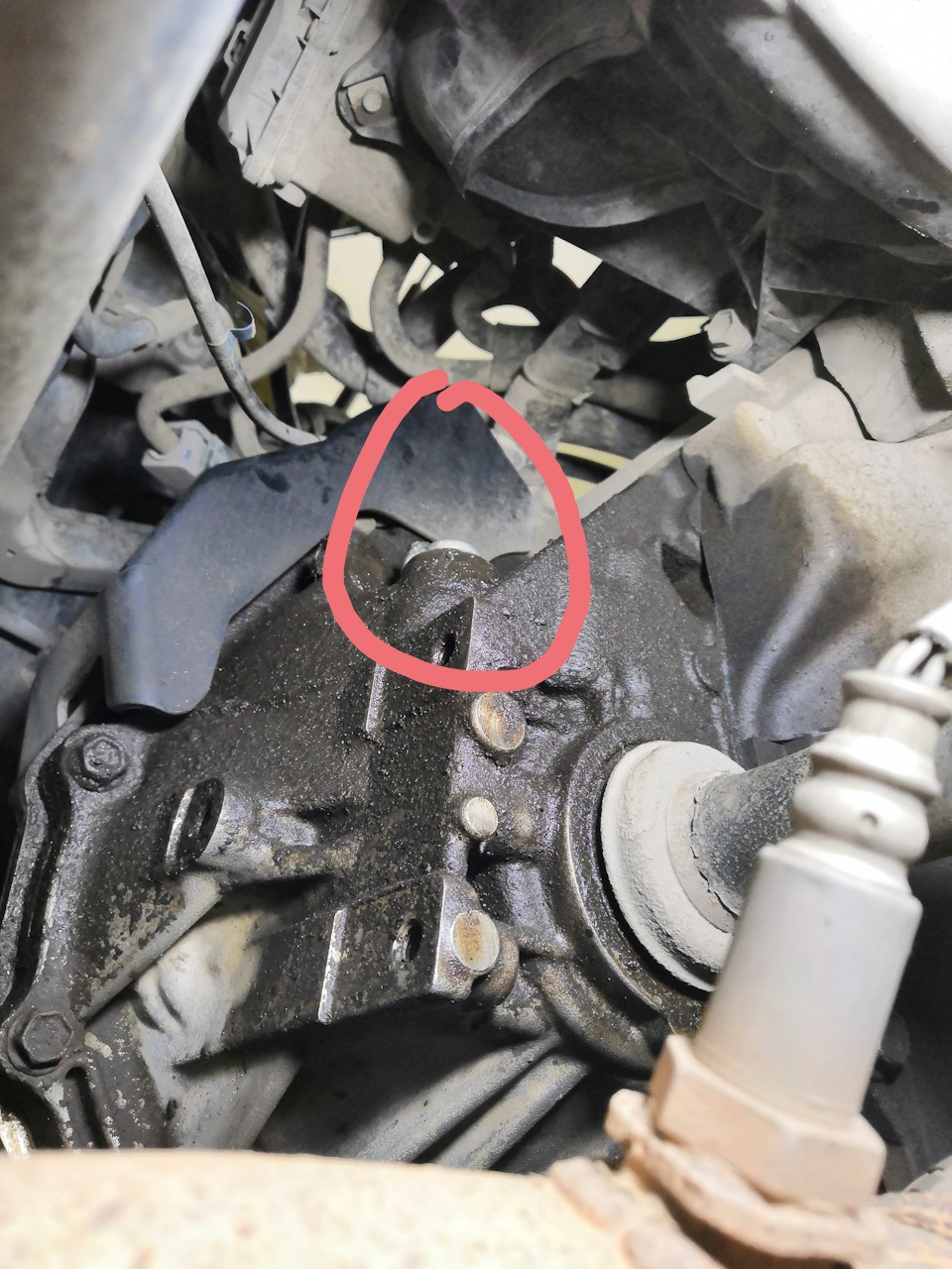 10. Проверка генератора и течь акпп — Toyota Camry (XV40), 2,4 л, 2010 ...