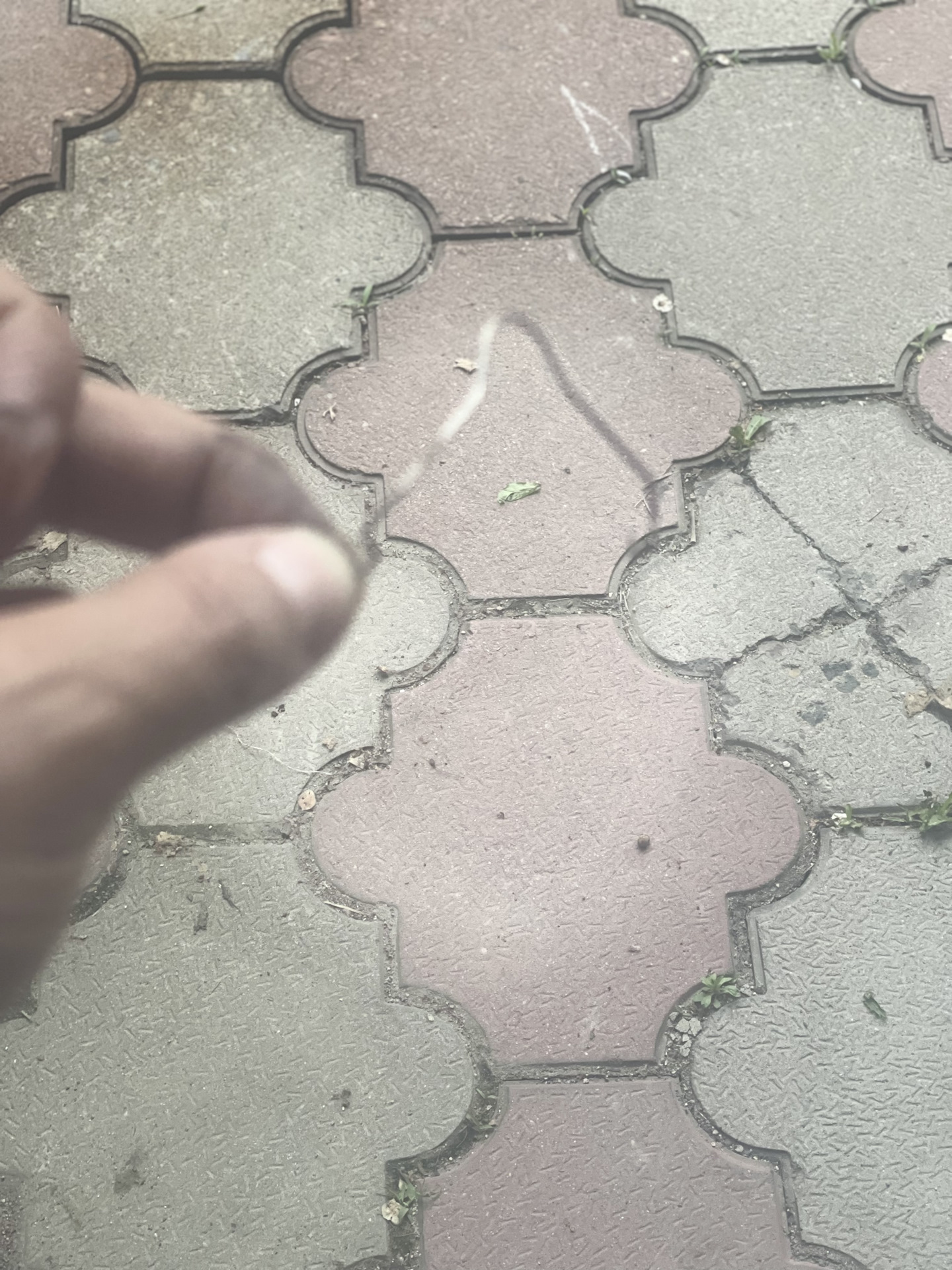 ️Запись № 222. Замена передних колодок (№ 23326280 GM) на Шевроле ...