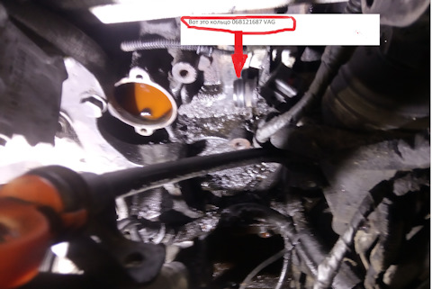 06B121687 Уплотнит. кольцо VAG | Запчасти на DRIVE2