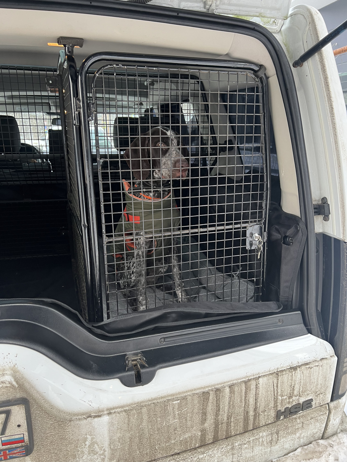 Клетка в багажник — Land Rover Discovery IV, 3 л, 2014 года | другое ...