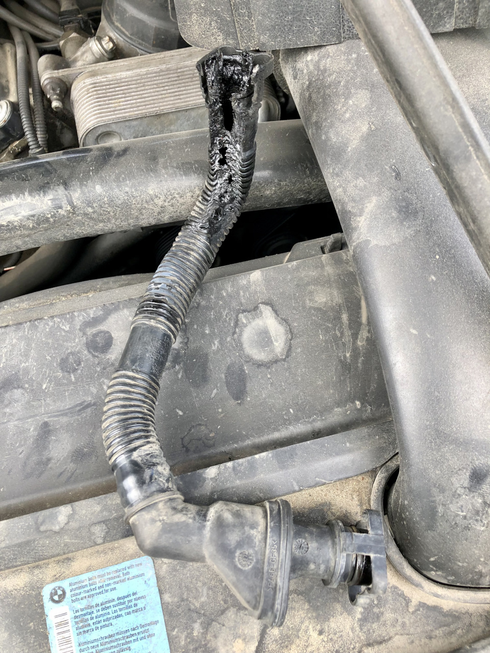 11157574114 шланг для прокачки BMW | Запчасти на DRIVE2