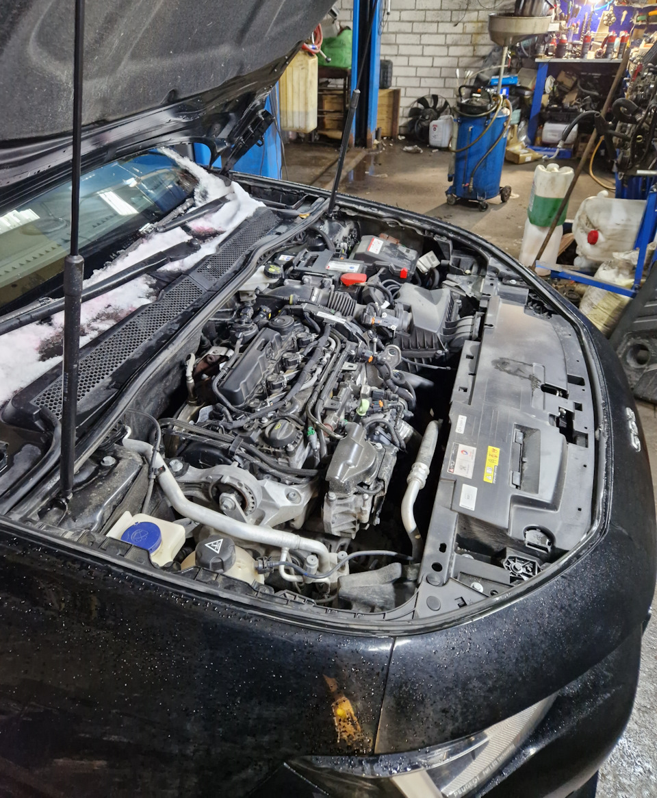 ТО или 12000 км уже позади — Peugeot 508 SW (2G), 2 л, 2019 года ...