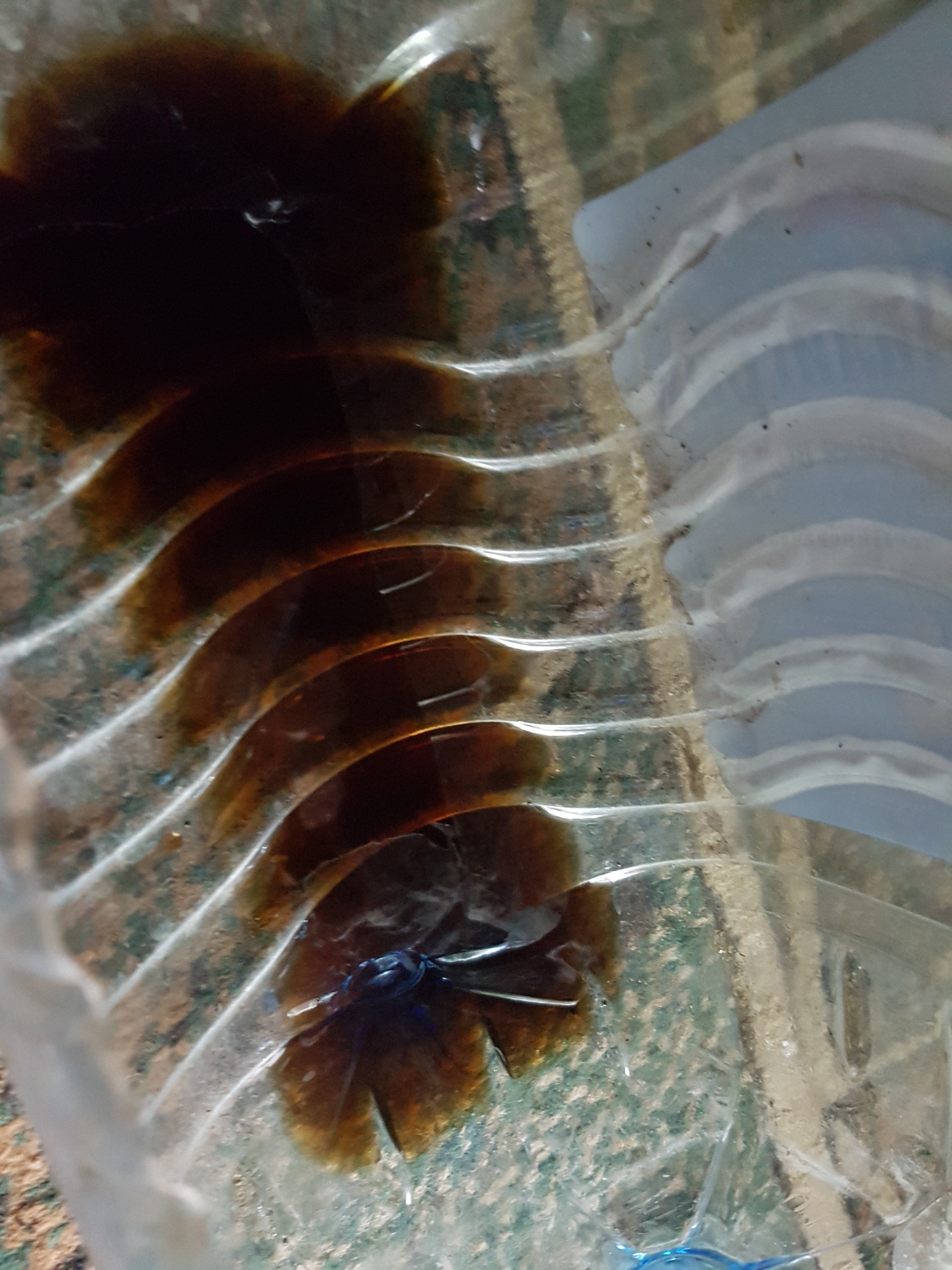 Запись, 24 мая 2018 — DRIVE2