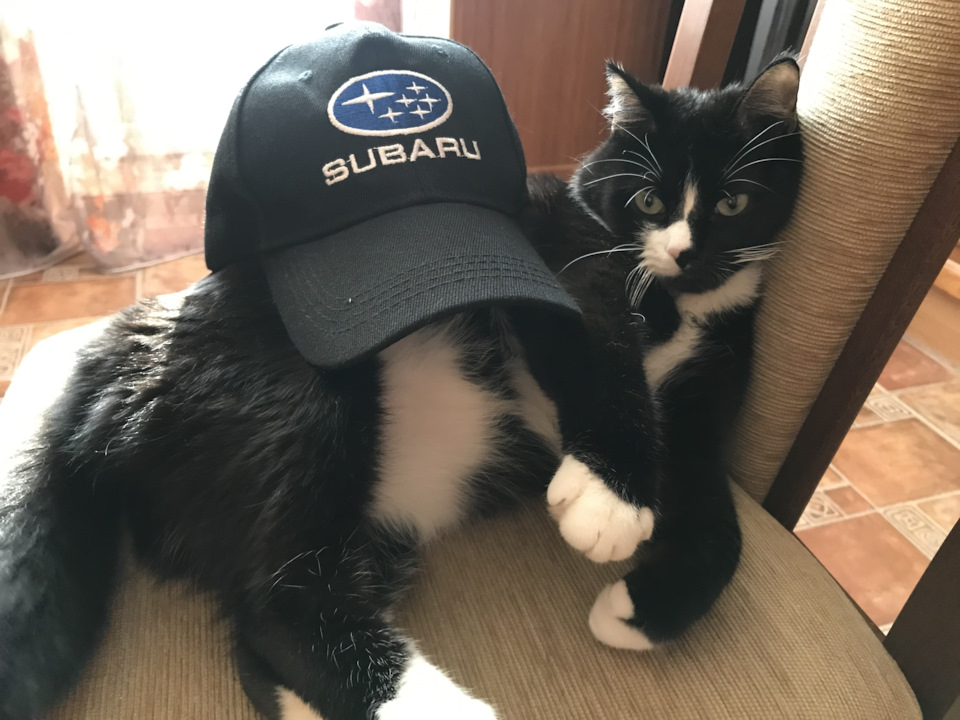 Кепка субару ))! — Subaru XV (1G), 2 л, 2014 года | просто так | DRIVE2