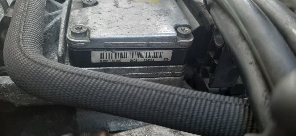 2,5 TDI BDG Bosch vp44 — Audi A4 Cabriolet (B6), 2,5 л, 2003 года ...