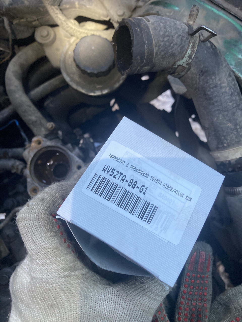 WV52TA88 Термостат MASUMA | Запчасти на DRIVE2