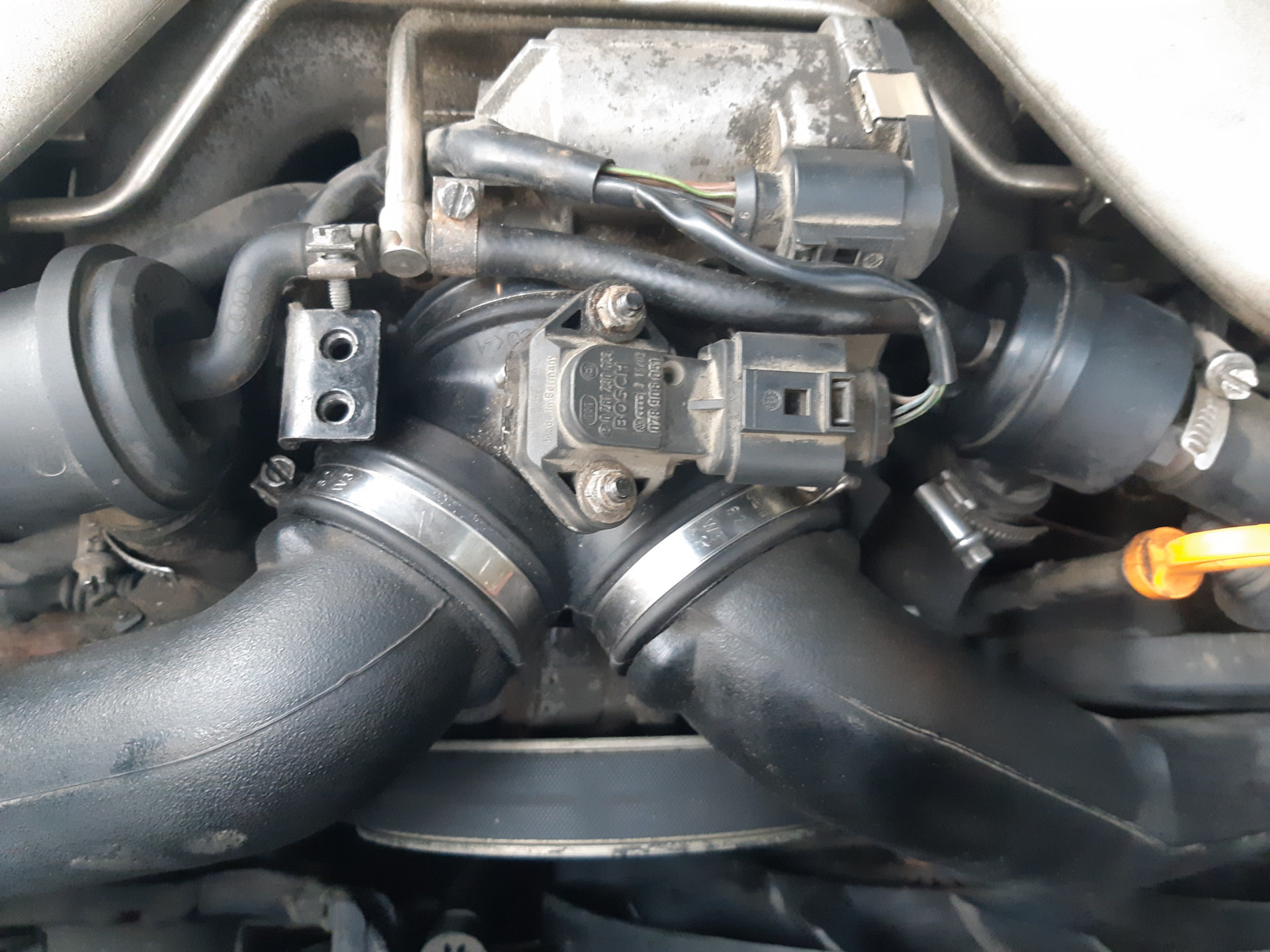 Allroad порвал труселя — Audi Allroad (C5), 2,7 л, 2003 года | запчасти ...