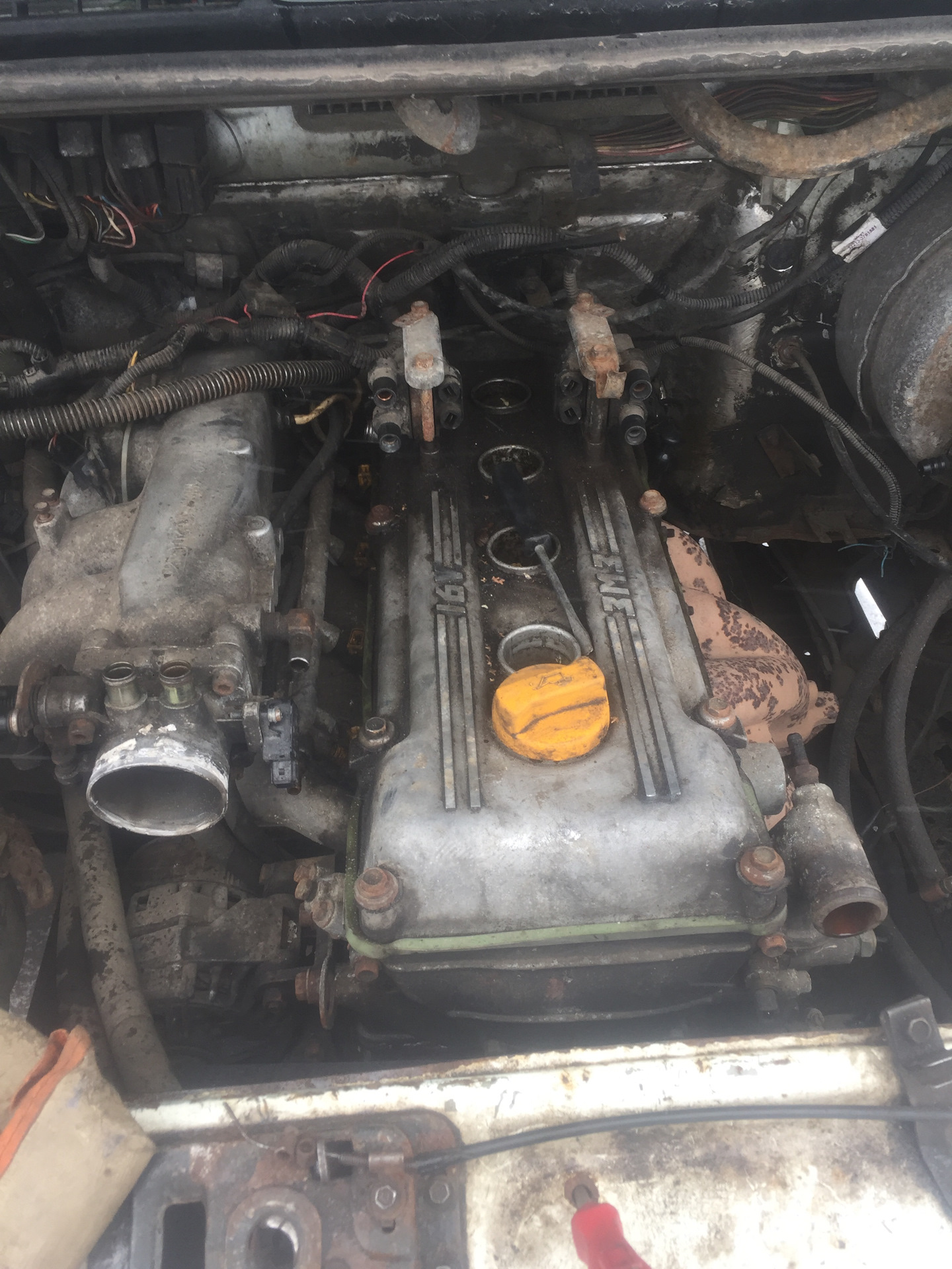 Вот и пришло время прокладки — ГАЗ Газель, 2,4 л., 2008 года | поломка ...