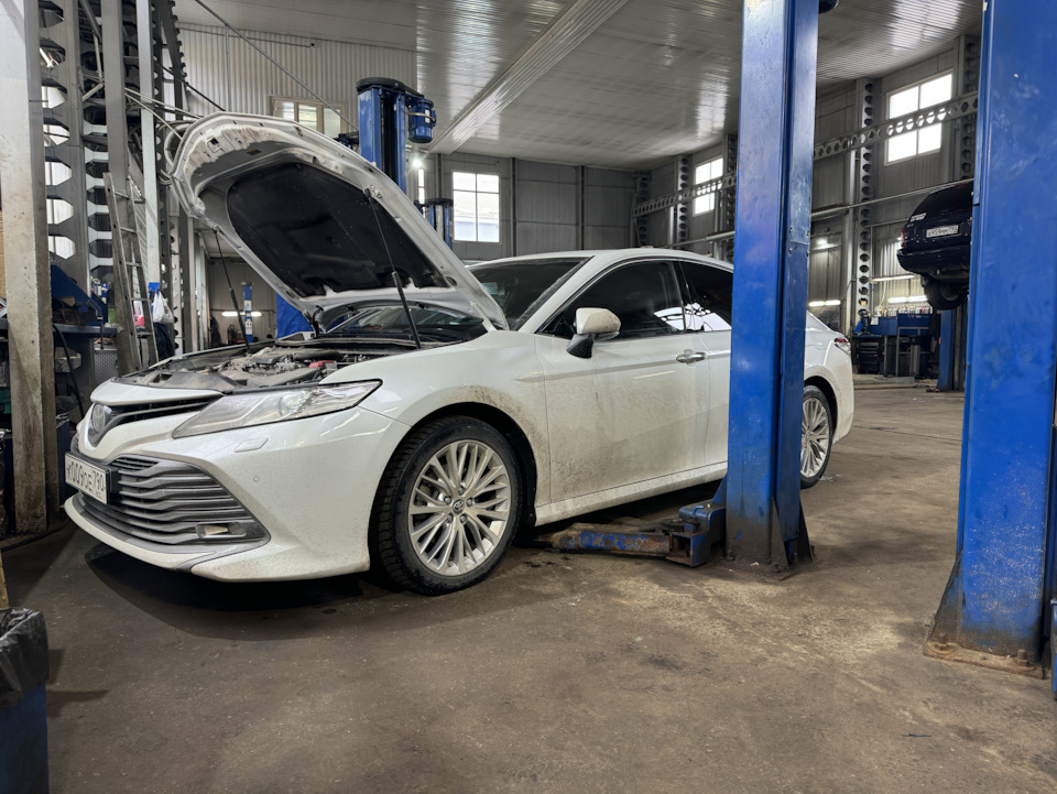 ТОище — Toyota Camry (XV70), 2,5 л, 2018 года | плановое ТО | DRIVE2