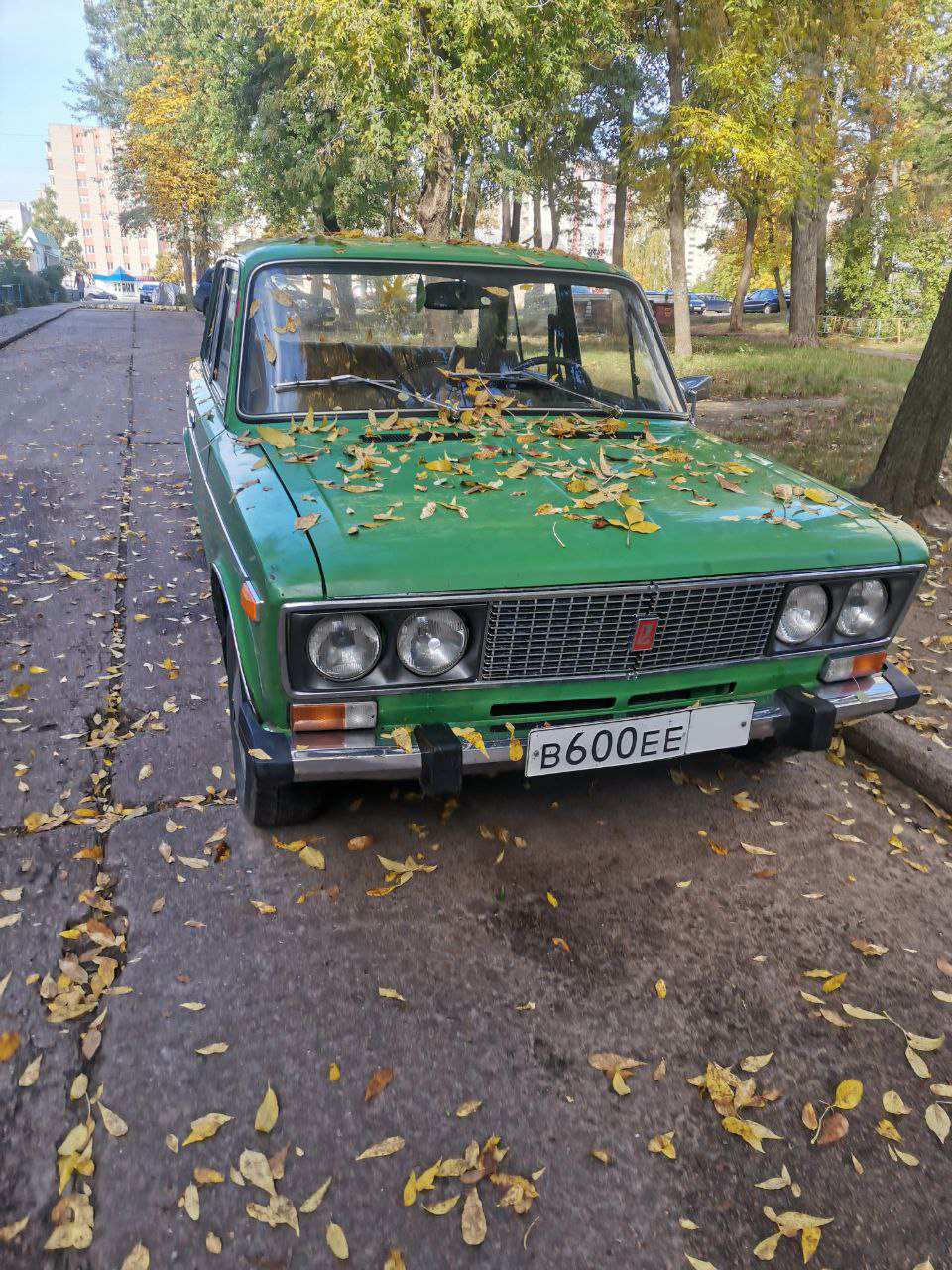 украшение — Lada 2106, 1,6 л, 1977 года | аксессуары | DRIVE2