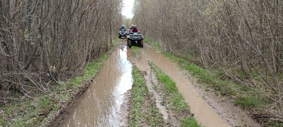 Выходные на квадроциклах — Buyang atv 300, 0,5 л, 2014 года ...