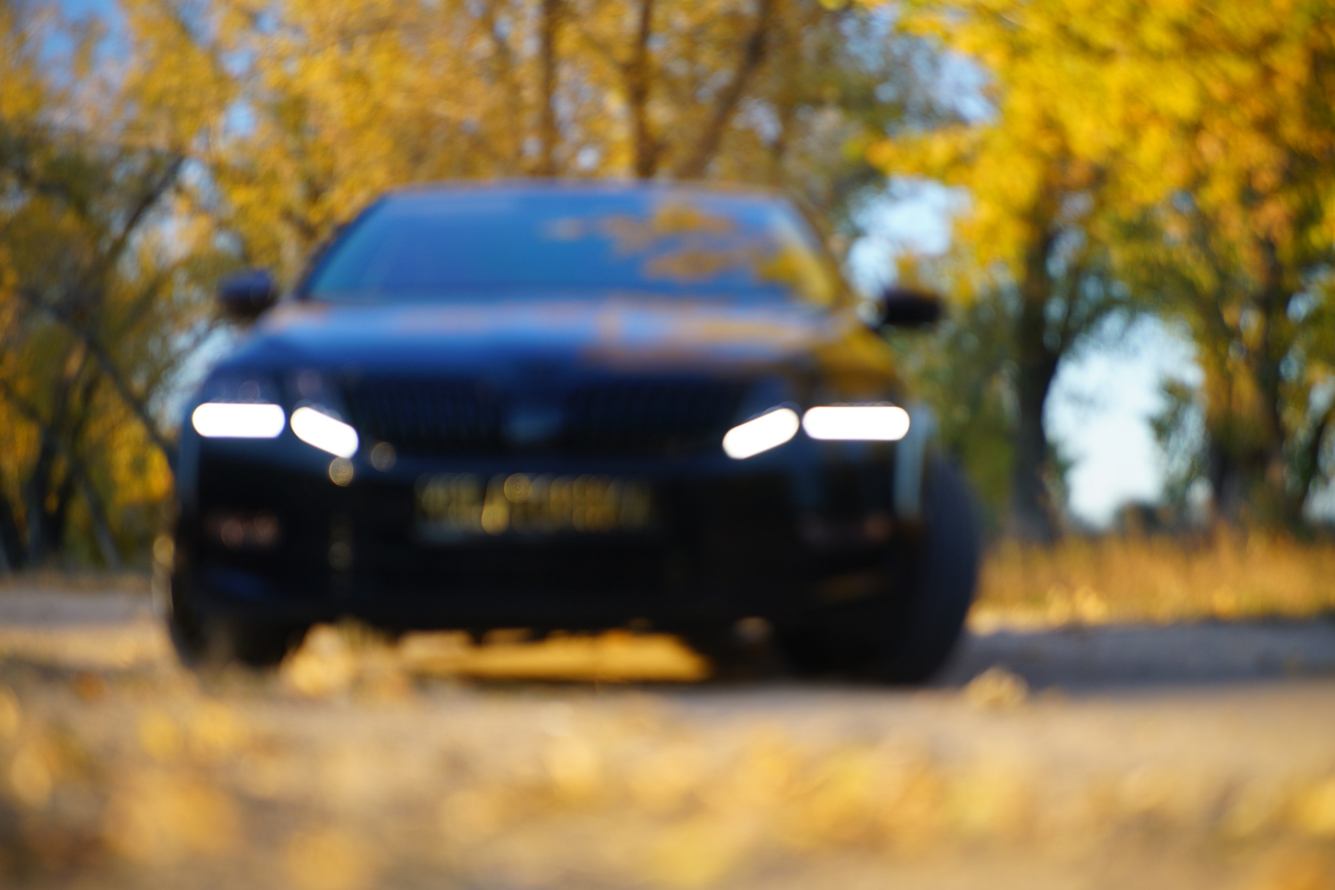 Скоро! финальный штрих образа (тизер) — Skoda Octavia A7 Mk3, 1,8 л ...