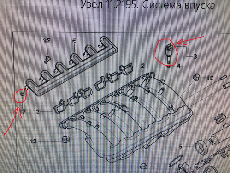 Замена уплотнительных колец адаптера впуска, датчика ТВВ — BMW 3 series ...