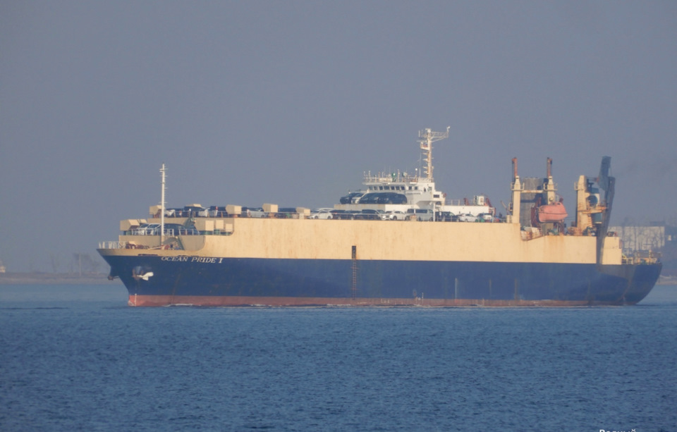 Судно назначено на 17.12 OCEAN PRIDE I V-OPI1246 — Honda N-WGN (1G), 0,7 л, 2013 года ...