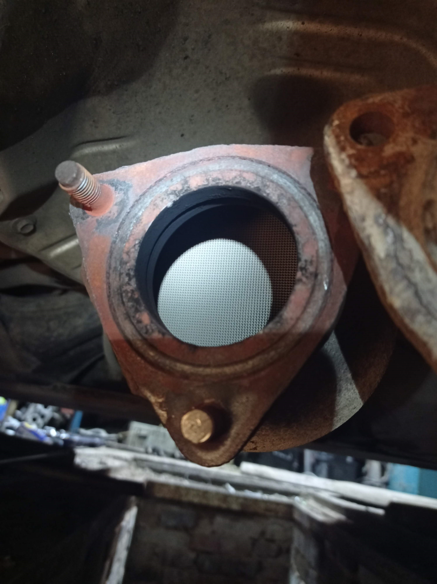 Выхлоп Modulo. — Honda Accord (8G), 2,4 л, 2008 года | тюнинг | DRIVE2