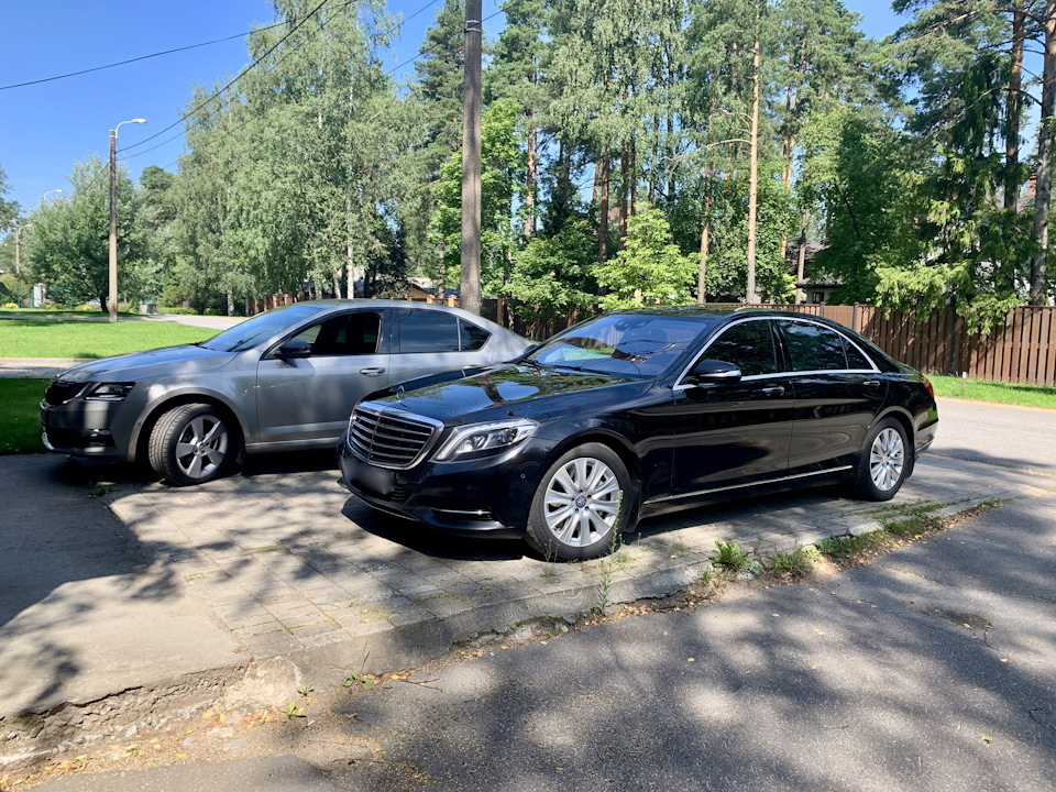 Спб-Минск-Спб на Mersedes-w222, s400 — Skoda Octavia A7 Mk3, 1,8 л, 2017 года | путешествие | DRIVE2