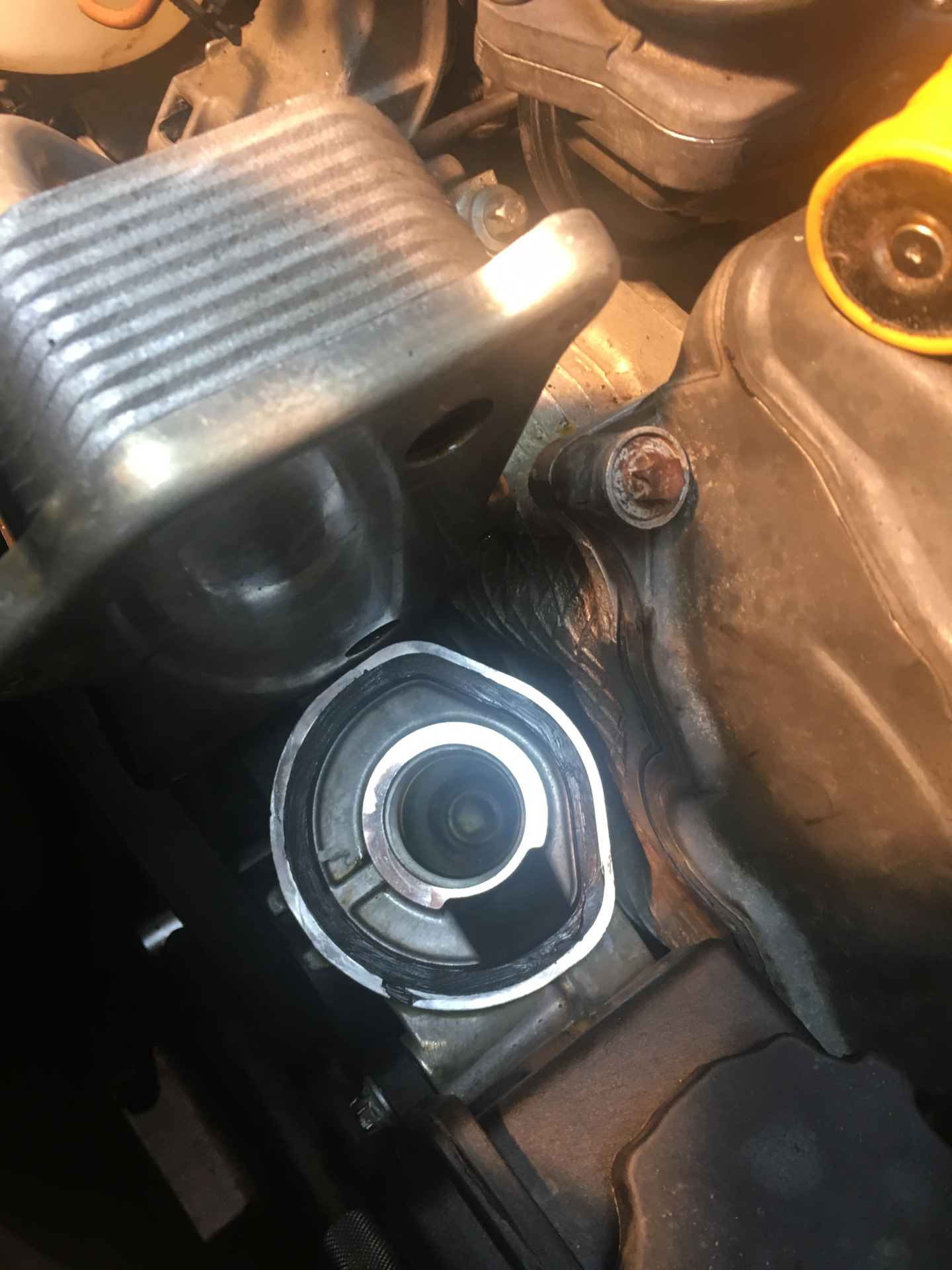 Течь масла маслянного стакана — Mercedes-Benz G-Class (W463), 5 л, 1998 ...