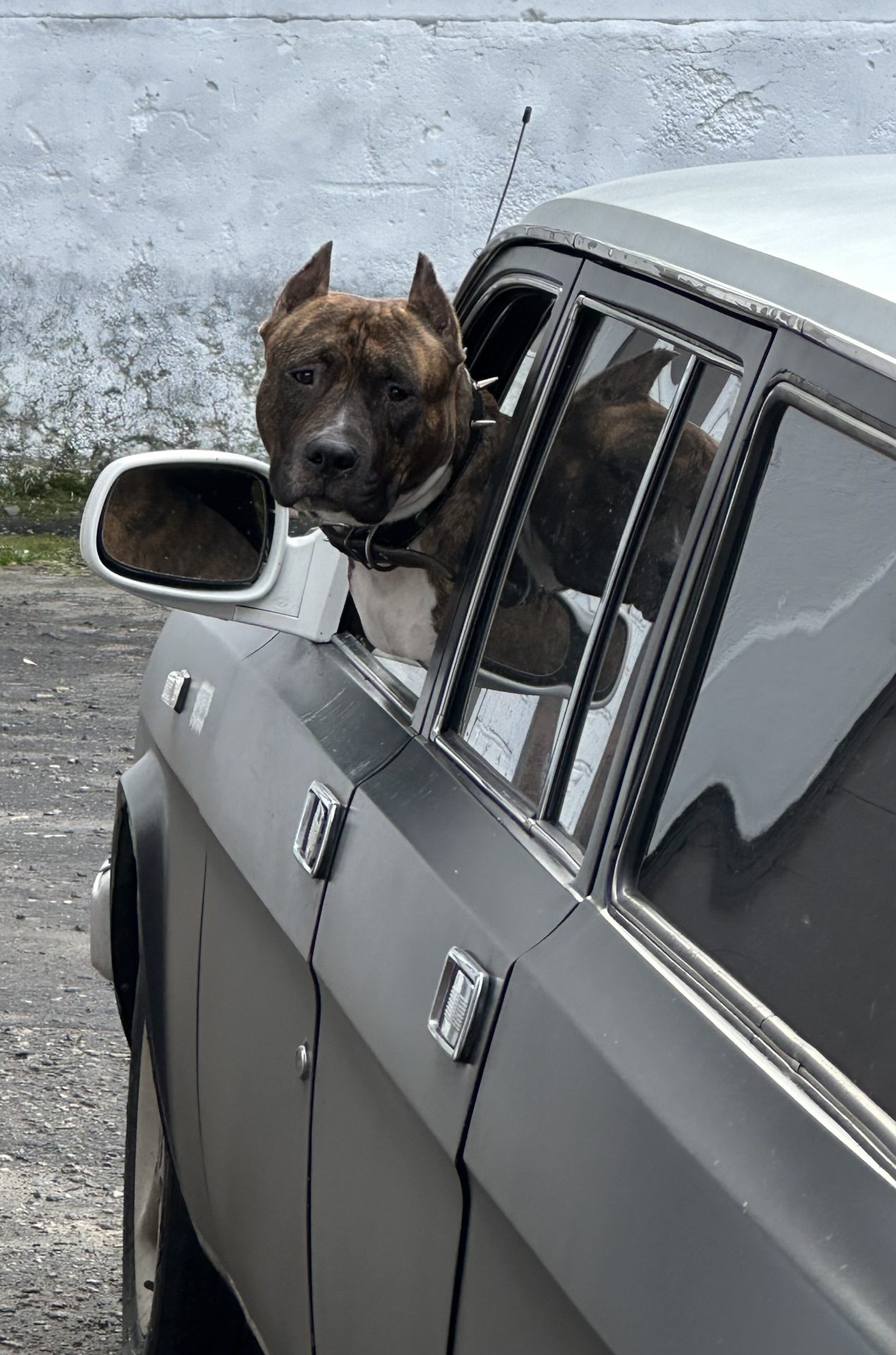 Замена цепи — Volkswagen Tiguan (1G), 2 л, 2013 года | запчасти | DRIVE2