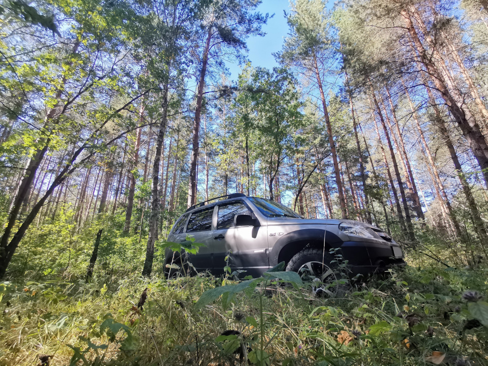 Пора грибов) — Chevrolet Niva GLX, 1,7 л, 2011 года | фотография | DRIVE2