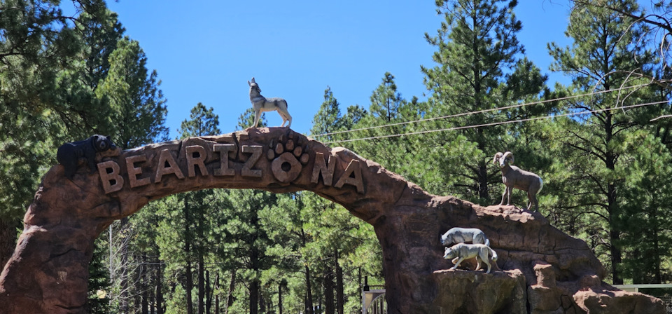 BEARIZONA Wildlife Park Arizona — DRIVE2