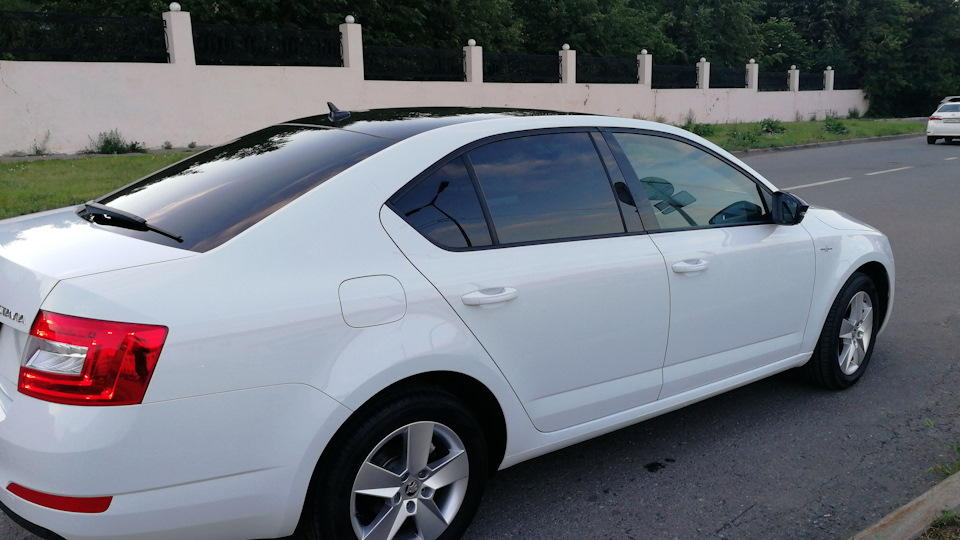 Бампер задний — Skoda Octavia A7 Mk3, 1,4 л, 2017 года | запчасти | DRIVE2