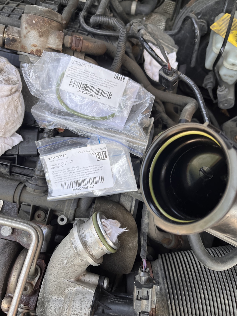 WHT003186 УПЛОТНИТЕЛЬНОЕ КОЛЬЦО/ VAG | Запчасти на DRIVE2