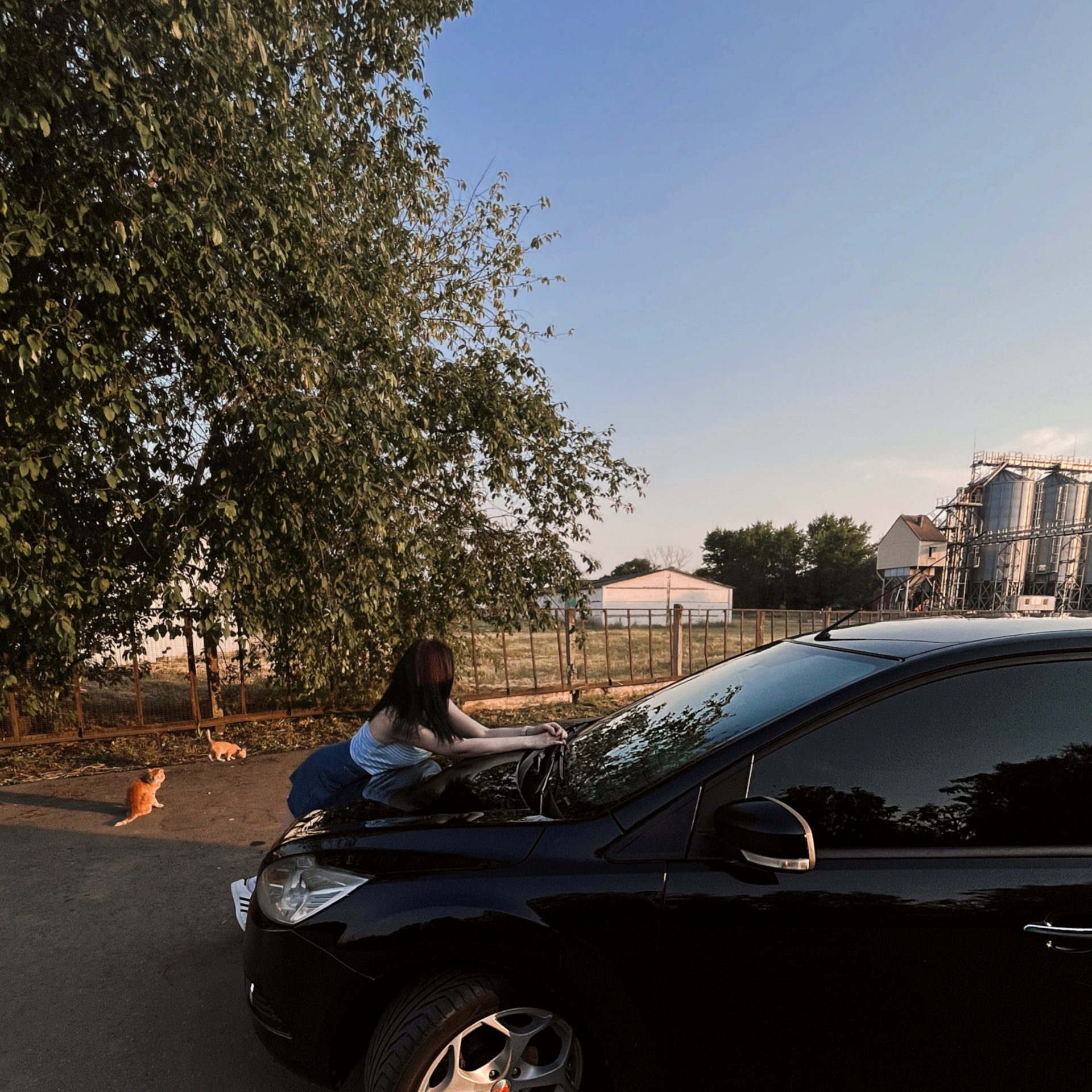 Sasha & Ford — Сообщество «Girls & Cars» на DRIVE2