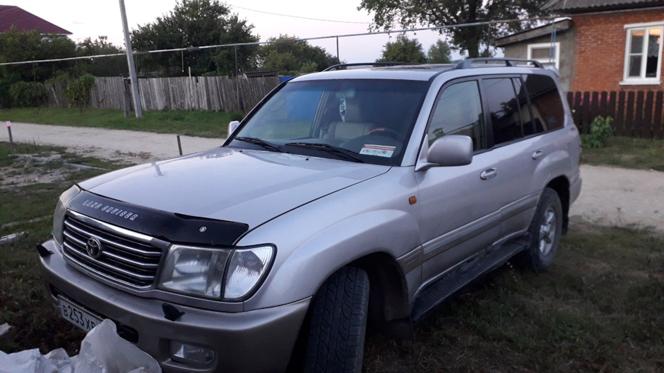 Мухобойка — Toyota Land Cruiser 100, 4,7 л, 2001 года | фотография | DRIVE2