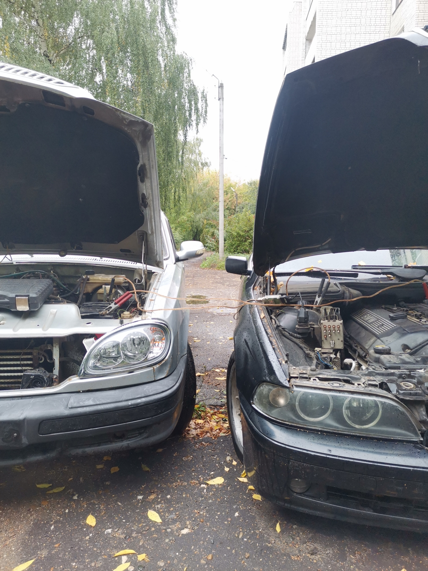 Знакомство с Бмв е39 м54б25 — BMW 5 series (E39), 2,5 л, 1998 года ...
