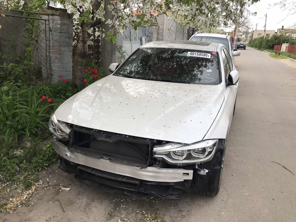 BMW f30 340 приехала! — BMW 3 series (F30), 3 л, 2016 года | встреча ...