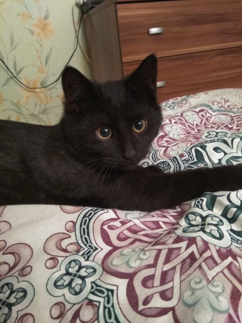 Ну почему? — Volvo XC70 II, 2,5 л, 2007 года | запчасти | DRIVE2