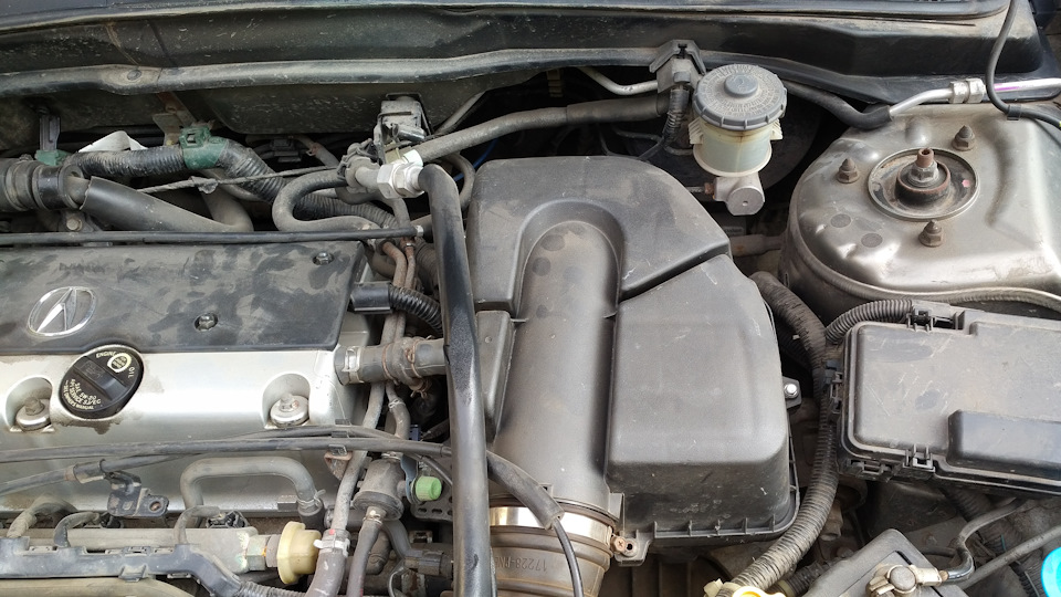 Mugen IceBox — Acura RSX, 2 л, 2002 года | тюнинг | DRIVE2