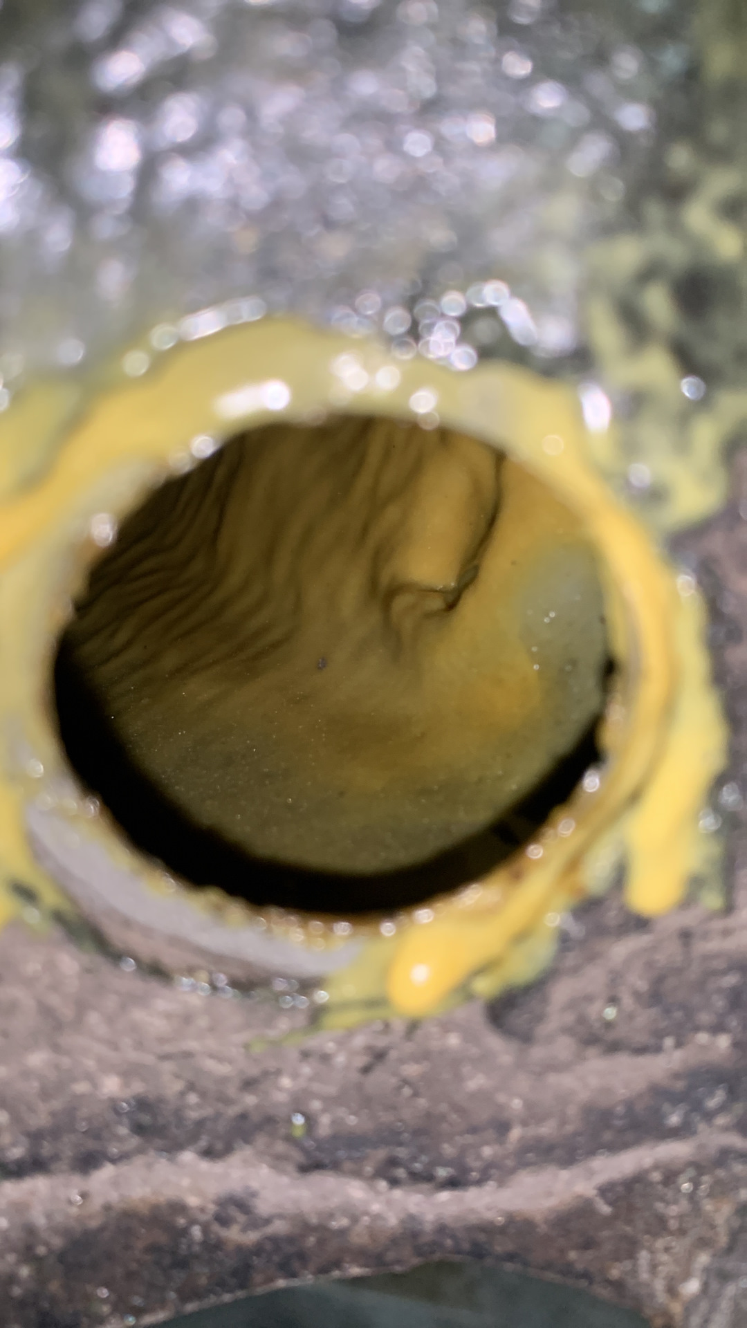 Антикор внутренних полостей — Toyota Camry (XV30), 2,4 л, 2005 года ...