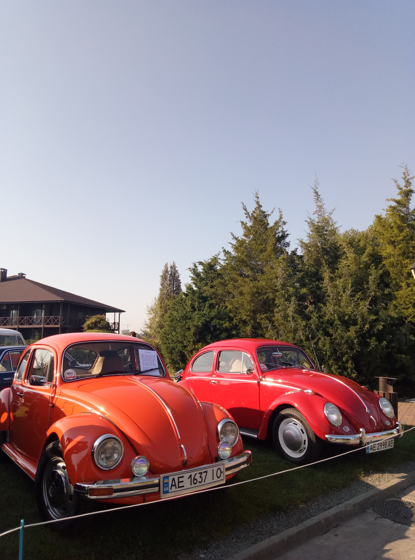 Выставка dars 2018 — Volkswagen Kafer, 1,2 л, 1958 года | соревнования | DRIVE2