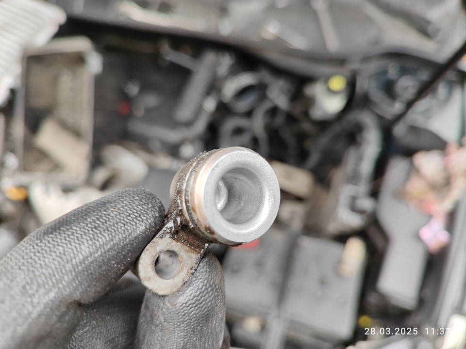 Если есть течь масла с акпп. — Toyota Camry (XV40), 2,4 л, 2008 года ...