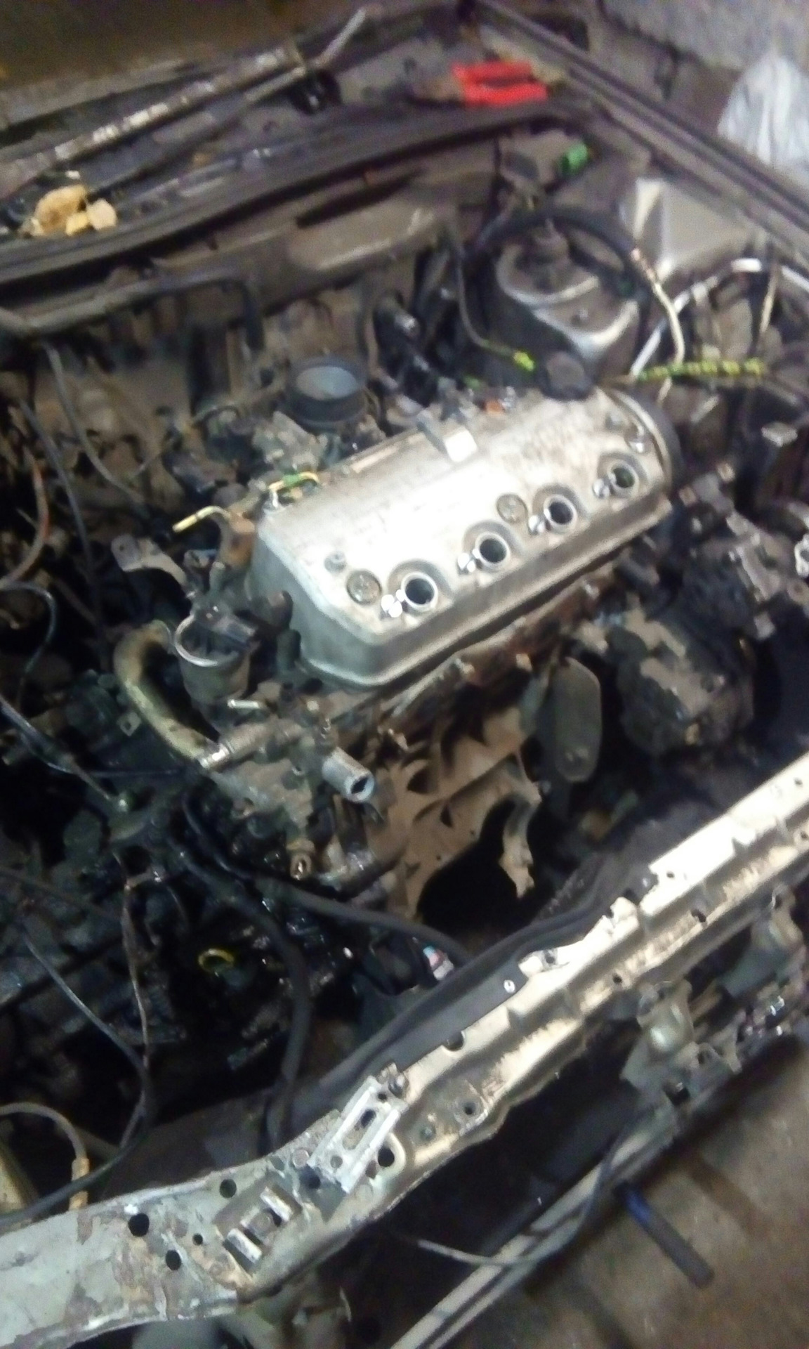 Впихнул)) — Honda Integra (DA5-DA9/DB1-DB2), 1,6 л, 1990 года | своими руками | DRIVE2