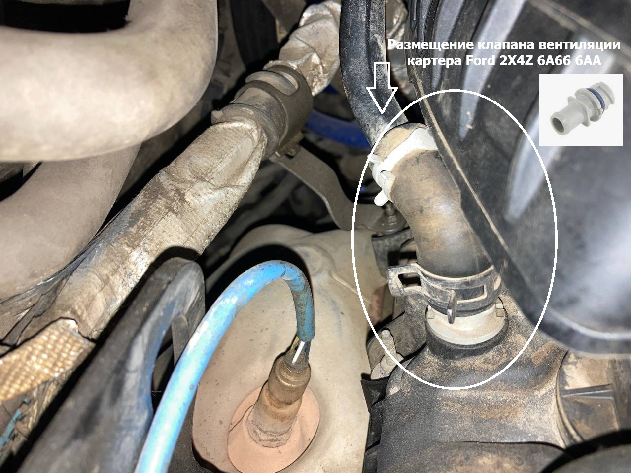 FORD EDGE (1G) — cистемы EVAP и PCV — Ford Edge (1G), 3,5 л, 2014 года ...