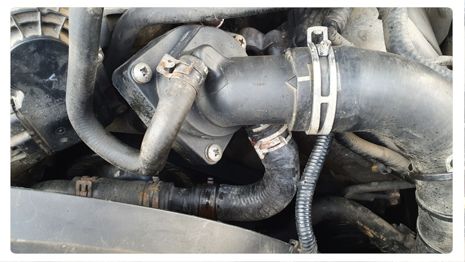 Термостат потек. Опять… — Land Rover Range Rover Sport (1G), 4,4 л ...