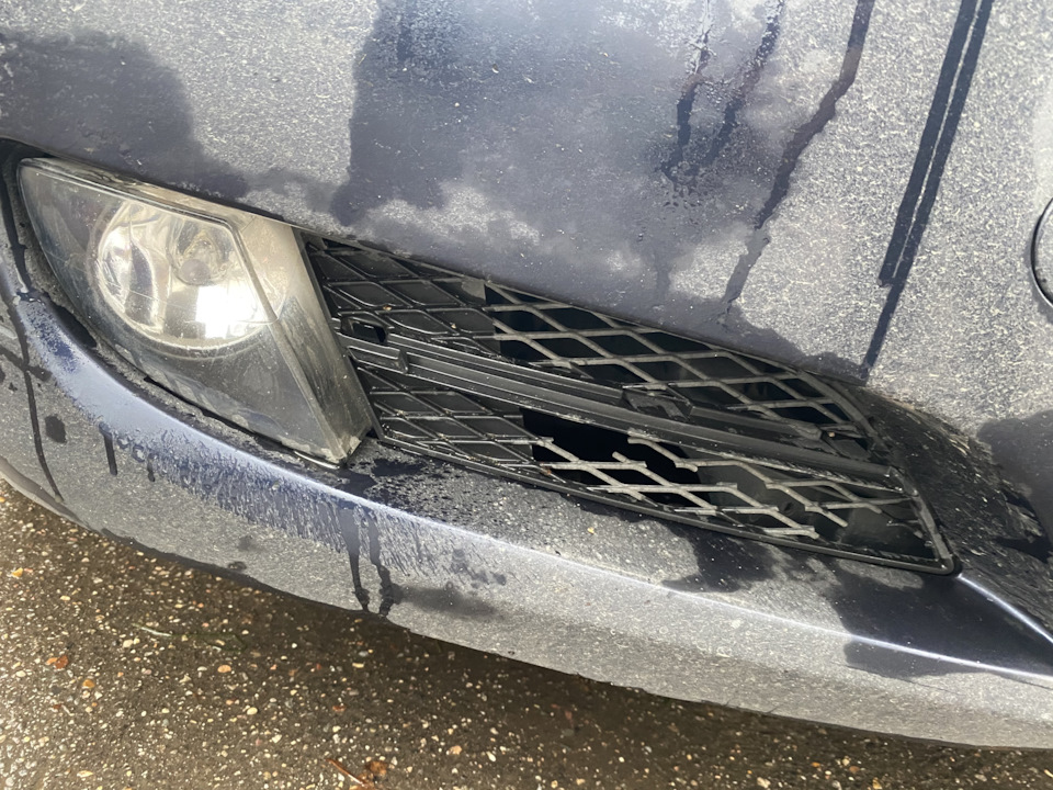 Накладка решетки переднего бампера — BMW 3 series (E90), 2,5 л, 2009 ...